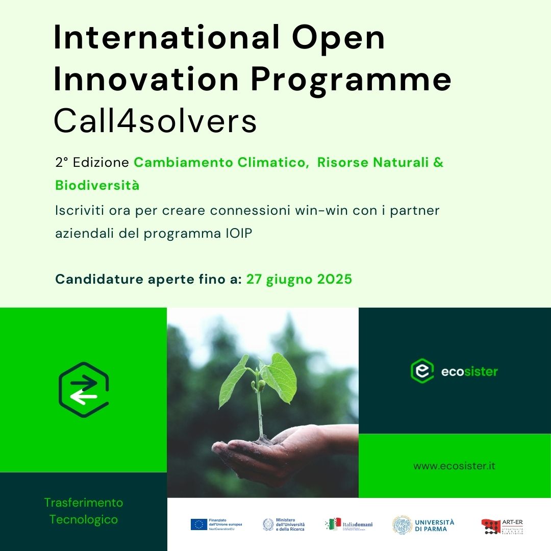 Aperta la Call4Solvers per la seconda edizione dell’International Open ...